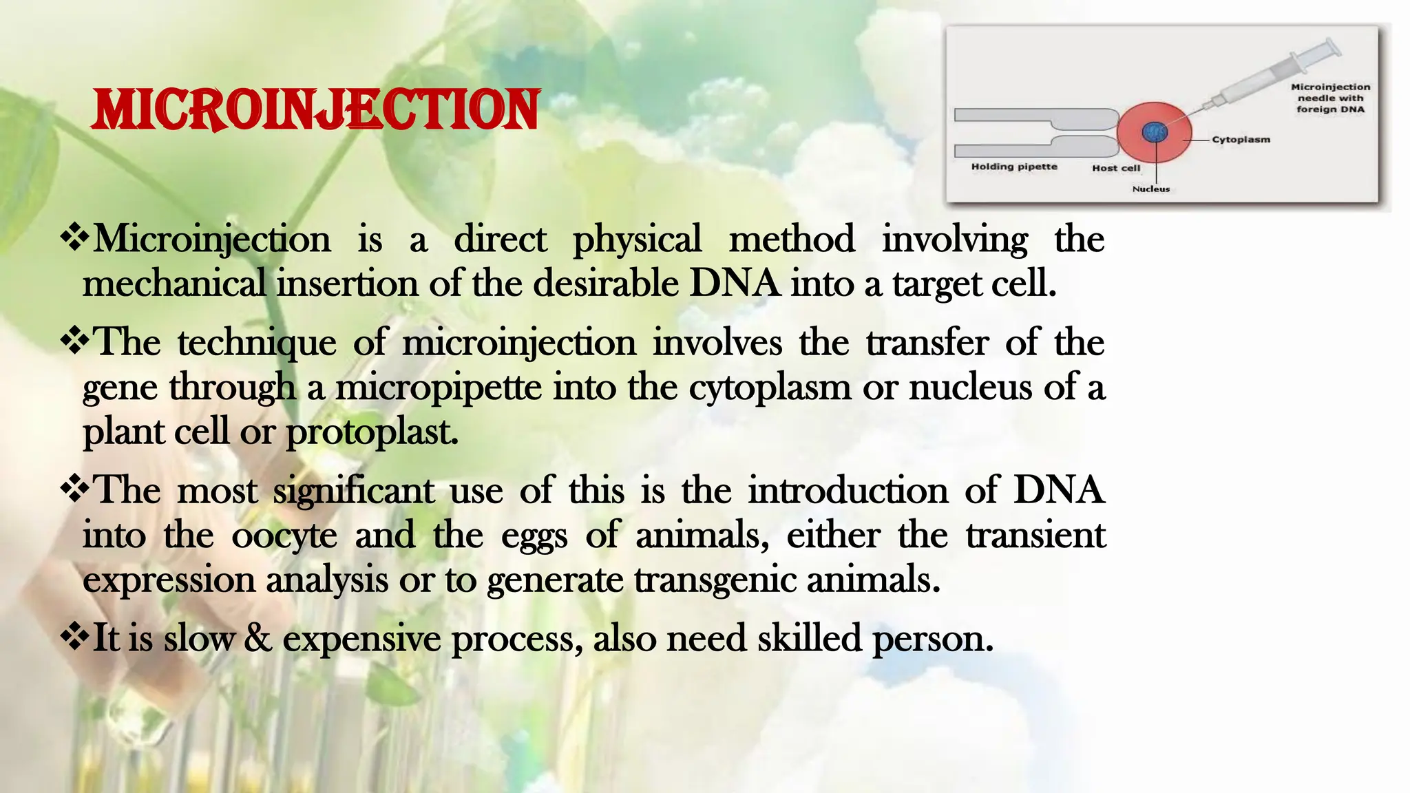 Transgenic plants , biotransformation and transgenesis | PDF