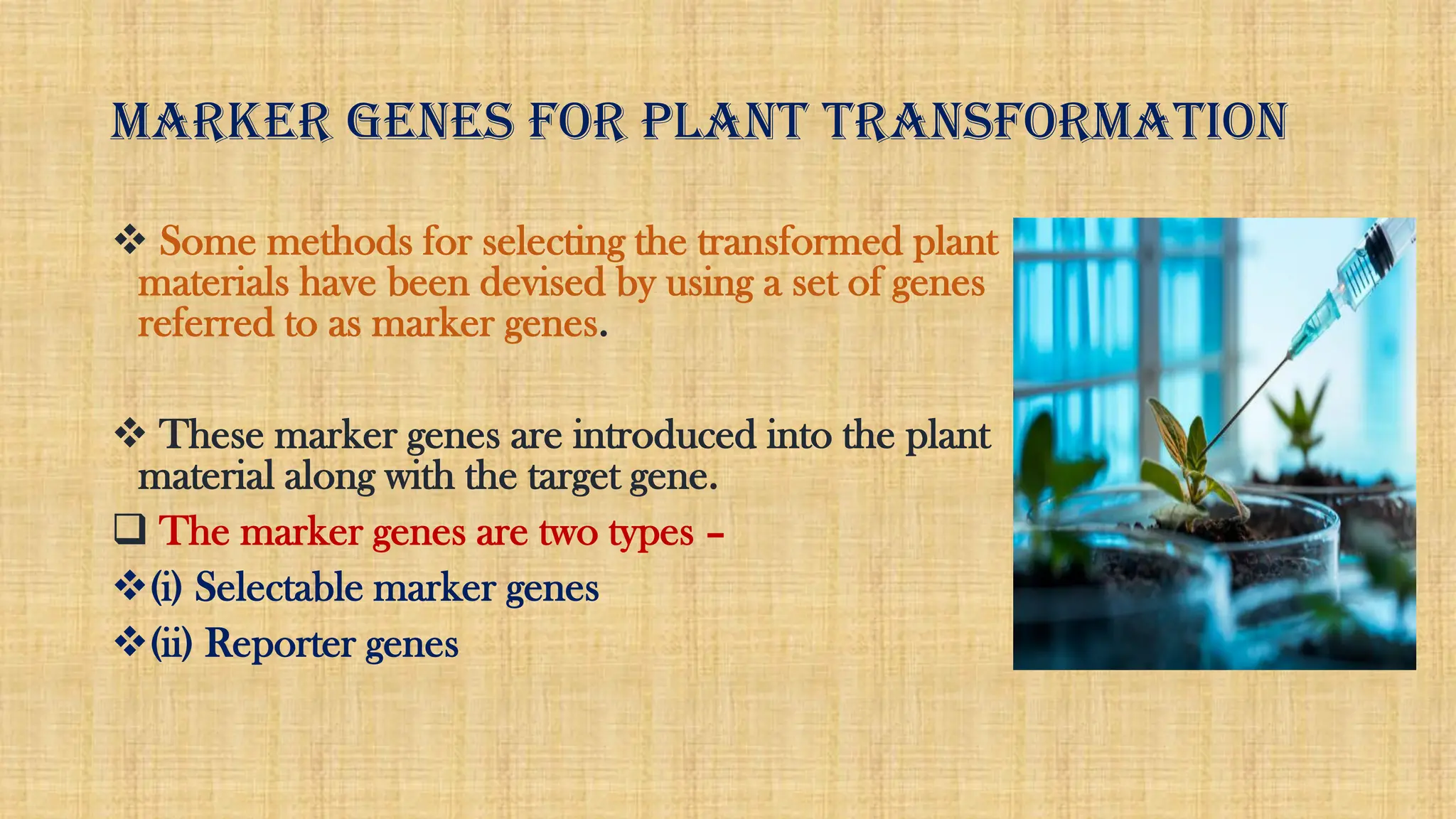 Transgenic plants , biotransformation and transgenesis | PDF