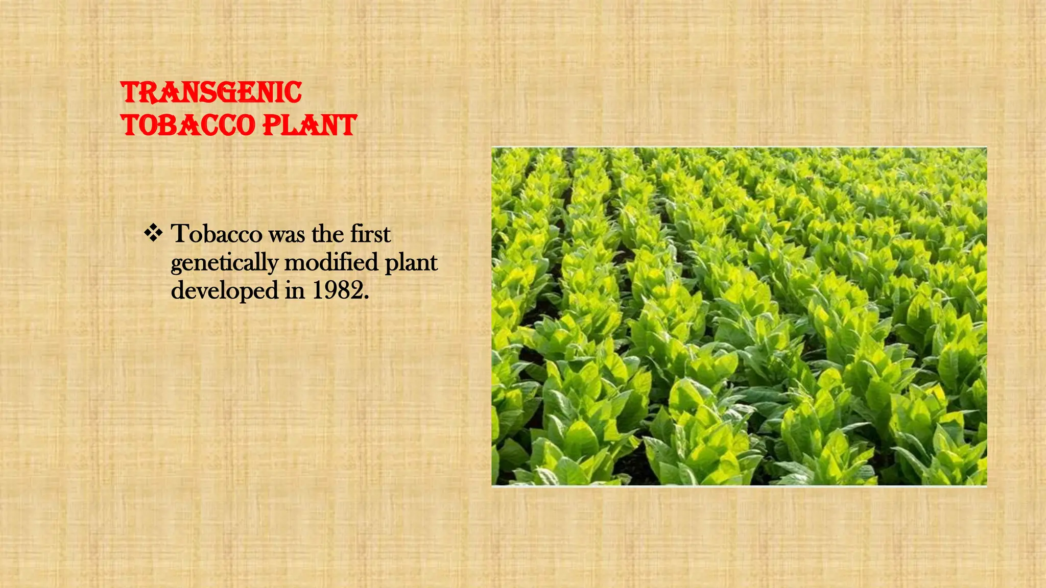 Transgenic plants , biotransformation and transgenesis | PDF