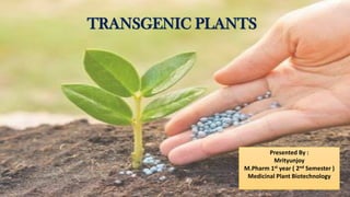 Transgenic plants , biotransformation and transgenesis | PDF