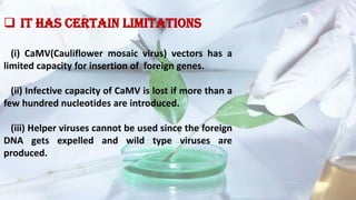 Transgenic plants , biotransformation and transgenesis | PDF