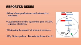 Transgenic plants , biotransformation and transgenesis | PDF