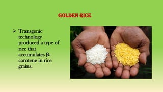 Transgenic plants , biotransformation and transgenesis | PDF