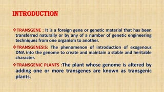 Transgenic plants , biotransformation and transgenesis | PDF