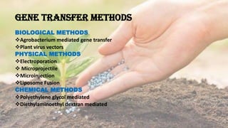 Transgenic plants , biotransformation and transgenesis | PDF