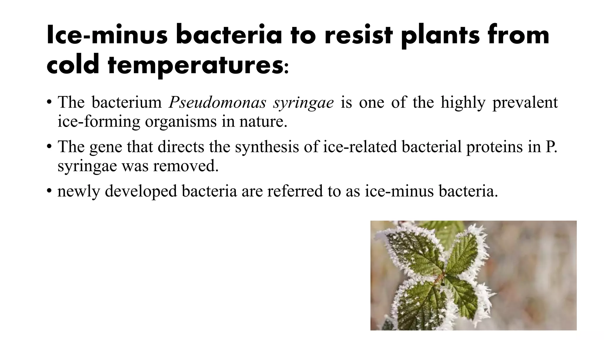 Transgenic plants- Abiotic stress tolerance | PPTX