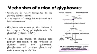 Transgenic plants- Abiotic stress tolerance | PPTX