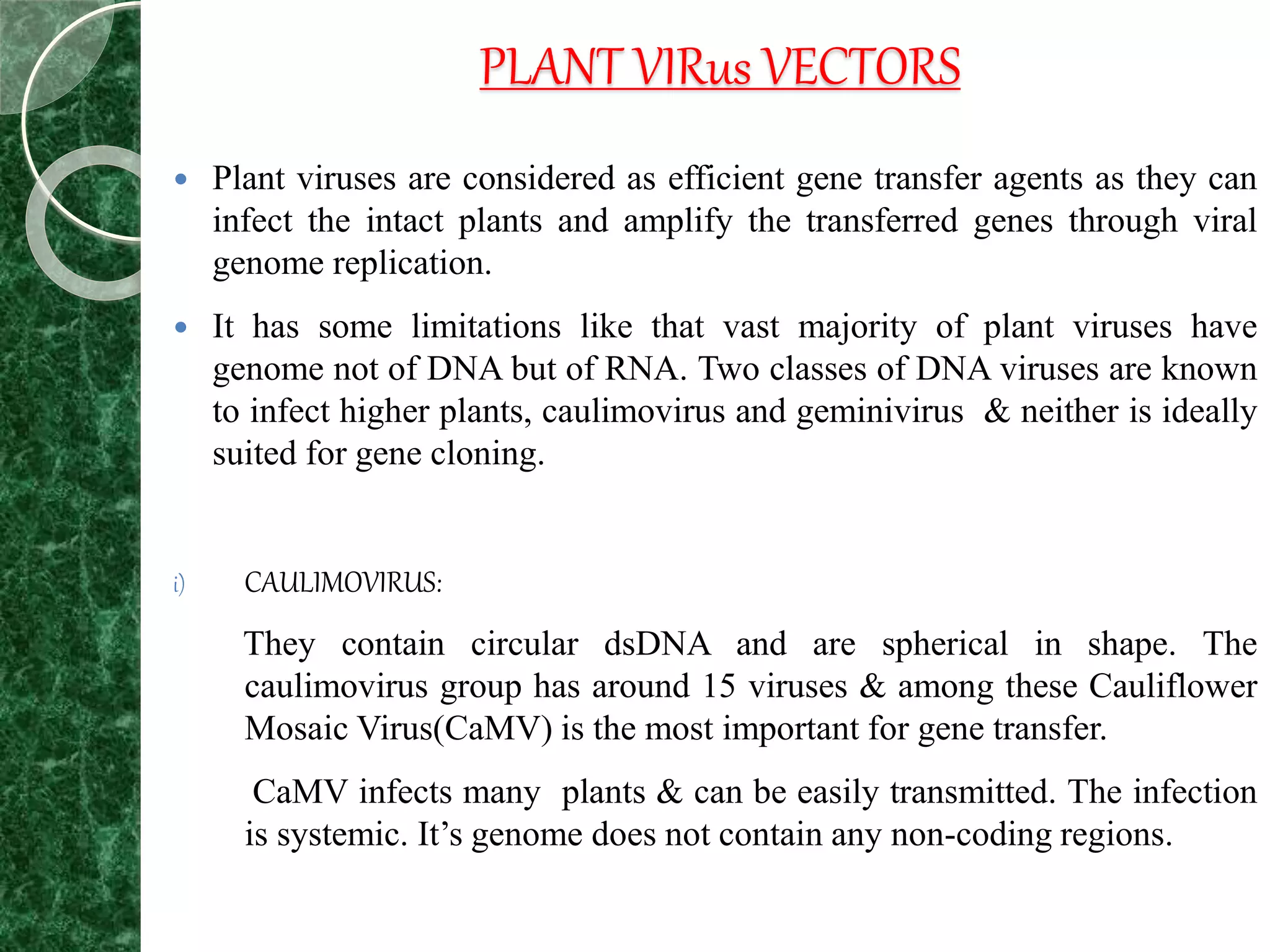 Transgenic plants ppt | PPTX