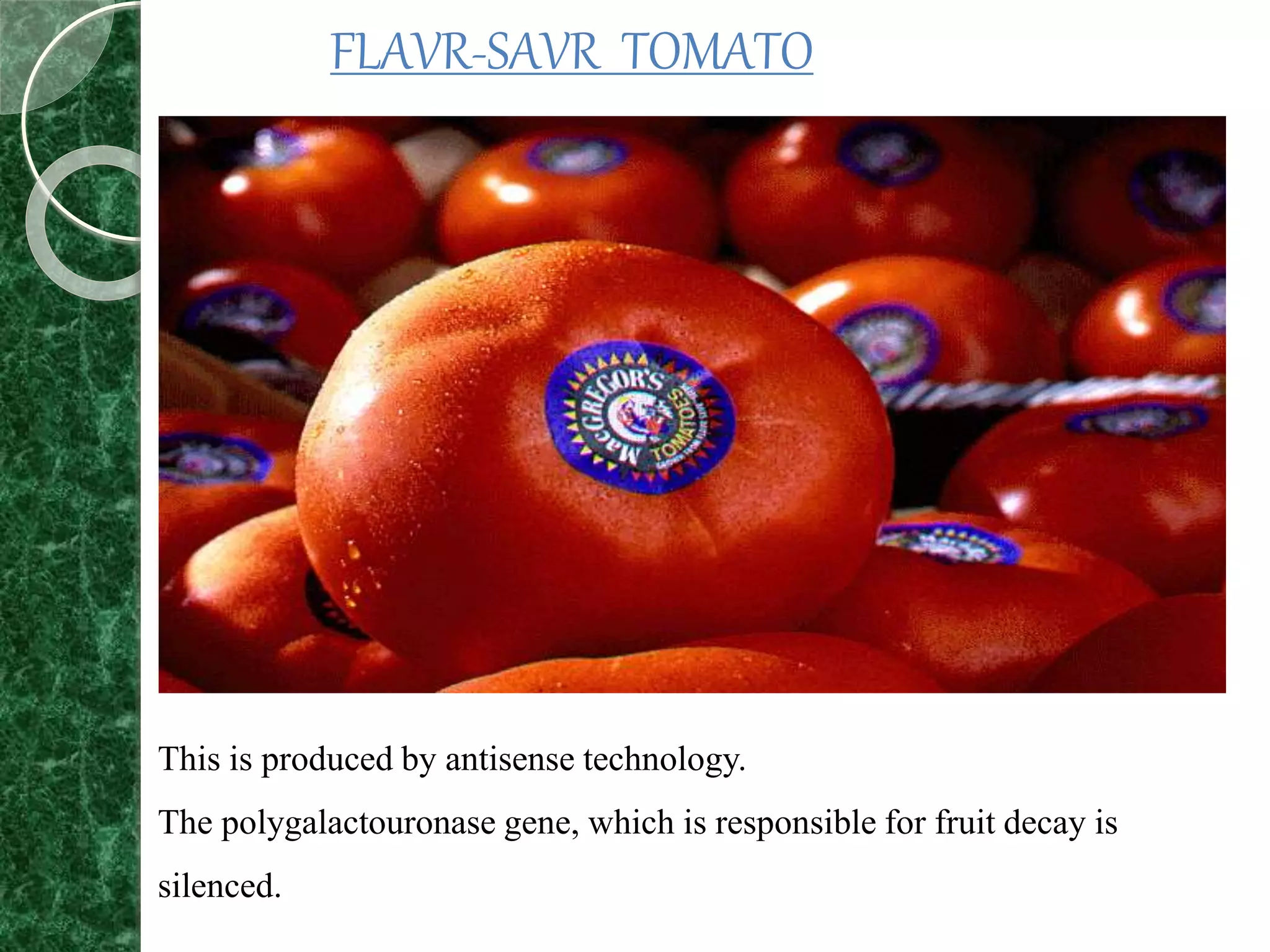 Transgenic plants ppt | PPTX