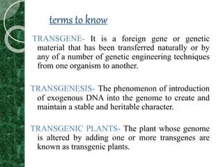 transgenic plants and their role in crop improvement | PPTX
