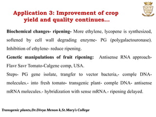 Botany:Transgenic plants- Genetic Engineering for crop improvement | PPTX