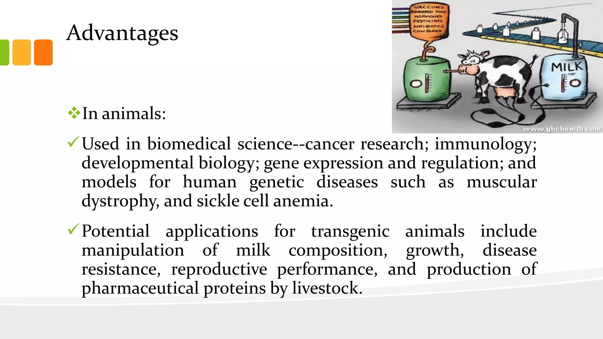 transgenicplantsandanimals-140518135541-phpapp01.pdf