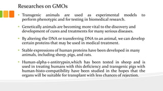 transgenicplantsandanimals-140518135541-phpapp01.pdf