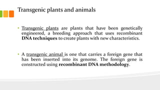 transgenicplantsandanimals-140518135541-phpapp01.pdf