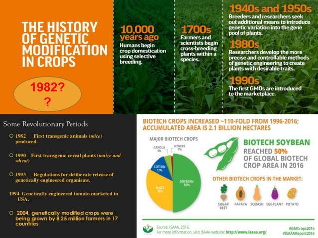Transgenic plants and applications | PPTX