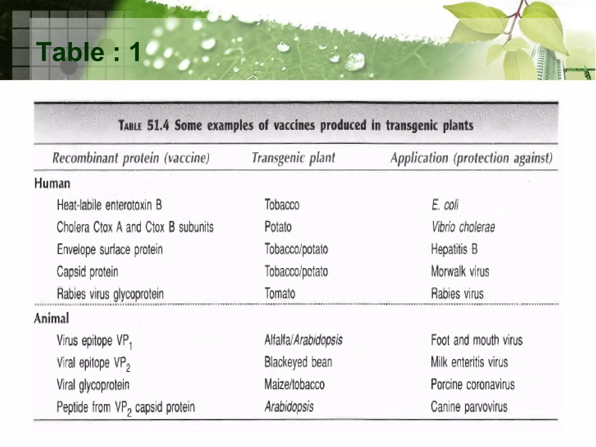 Transgenic plants as bioreactor | PPT