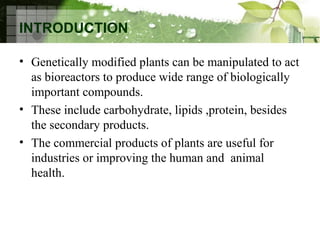 Transgenic plants as bioreactor | PPT