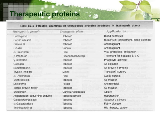 Transgenic plants as bioreactor | PPT