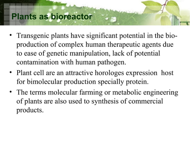 Transgenic plants as bioreactor | PPT