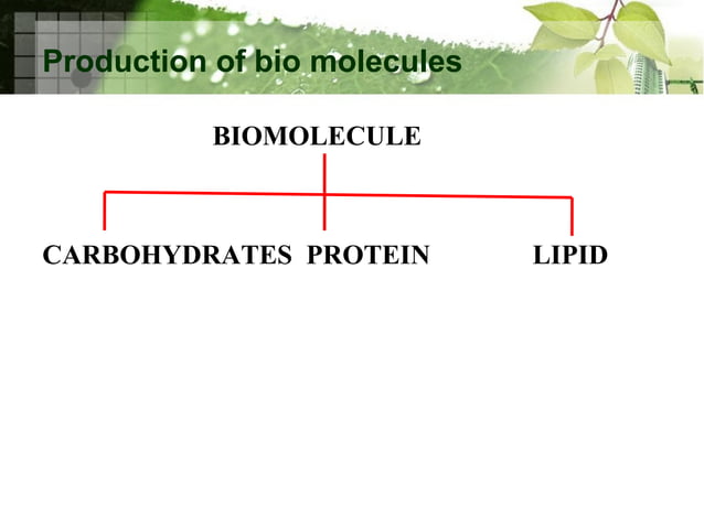 Transgenic plants as bioreactor | PPT