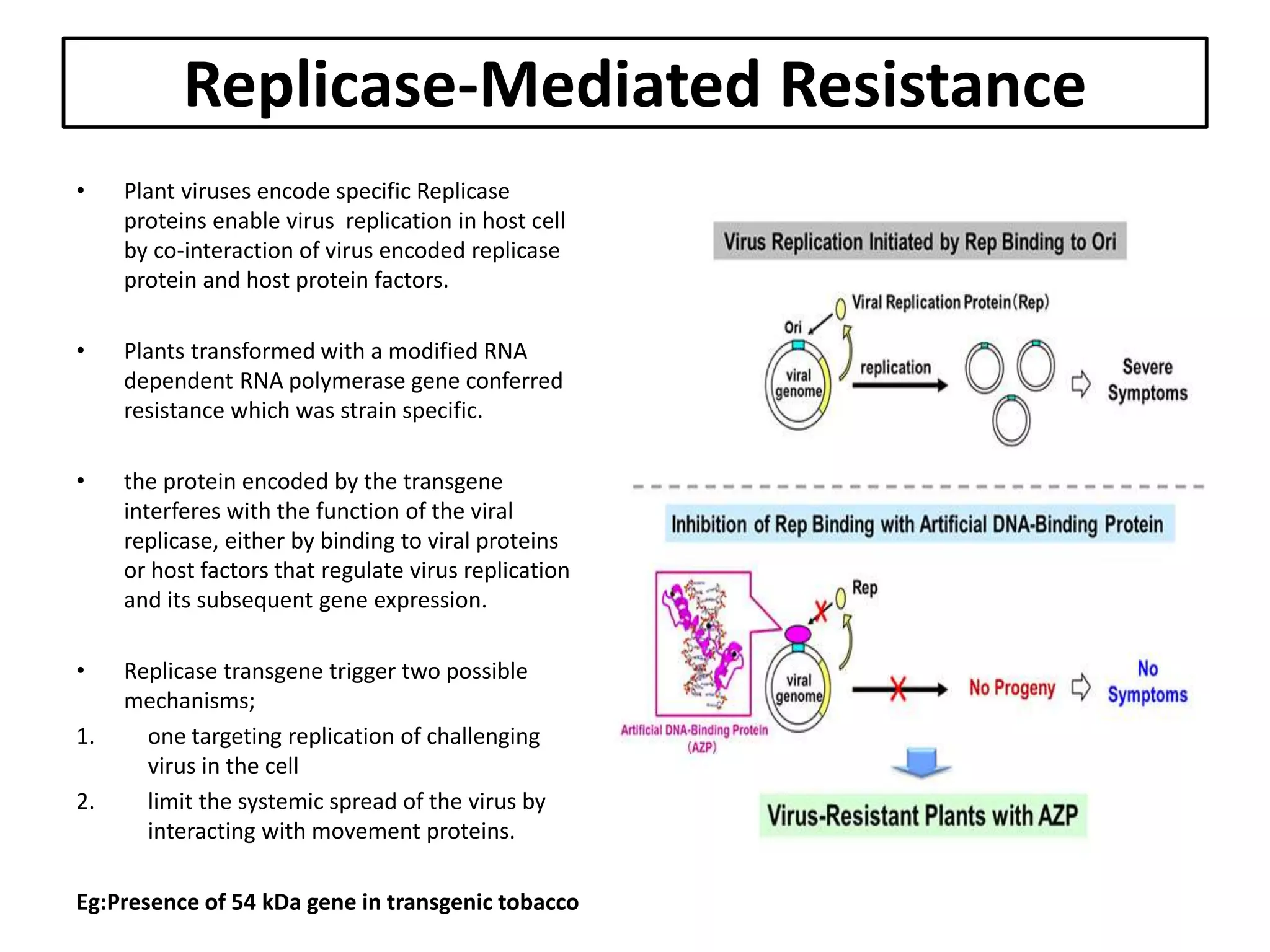 Transgenic plants for viral disease resistance | PPTX