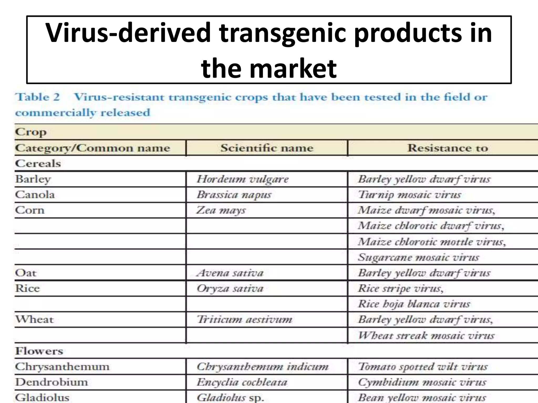 Transgenic plants for viral disease resistance | PPTX