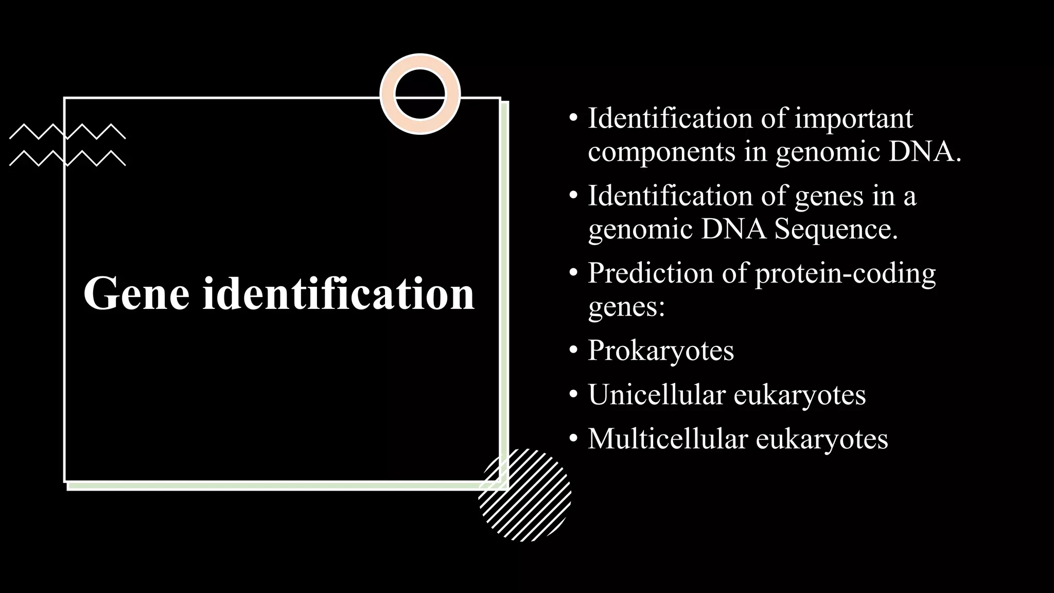 Transgenic Plants, Gene Identification and Method.pptx