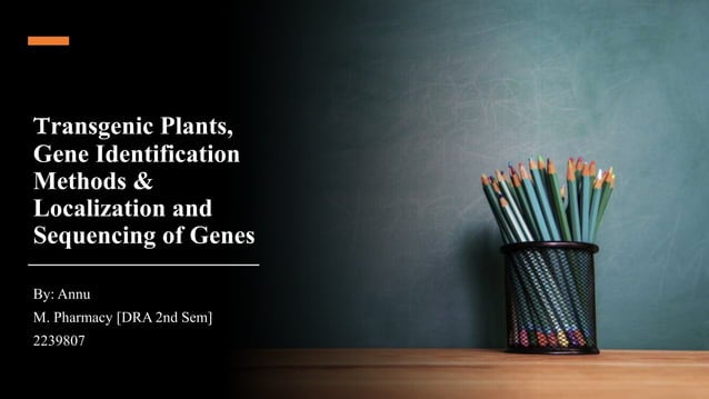Transgenic Plants, Gene Identification and Method.pptx | Biotech and ...
