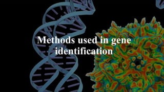 Transgenic Plants, Gene Identification and Method.pptx