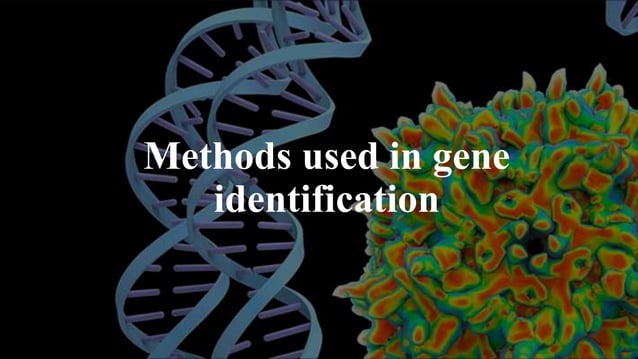 Transgenic Plants, Gene Identification and Method.pptx | Biotech and ...