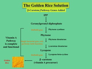 Transgenic plant with improved nutritional quality | PPTX