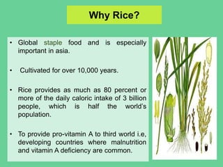 Transgenic plant with improved nutritional quality | PPTX
