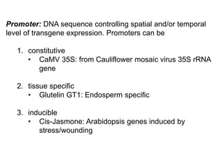 transgenics_17b.pptx