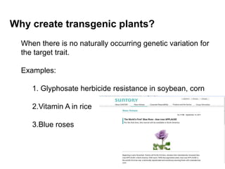 transgenics_17b.pptx