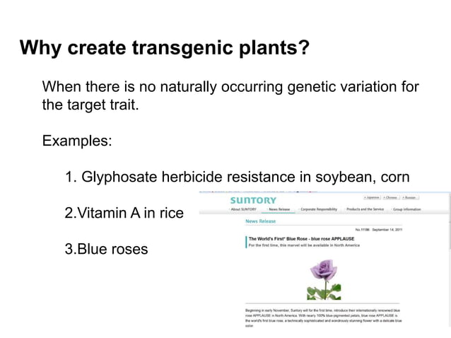 transgenics_17b.pptx