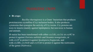 Transgenics in biotic stress management | PPTX