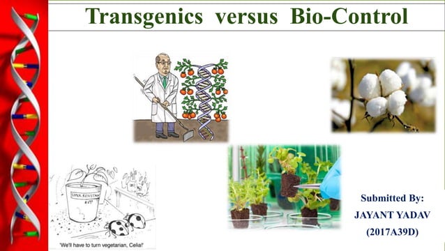 Transgenics versus Biocontrol | PPT