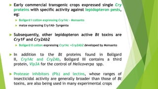Transgenics versus Biocontrol | PPTX