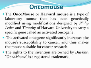 transgenic technology.pptx