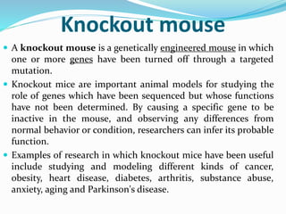 transgenic technology.pptx