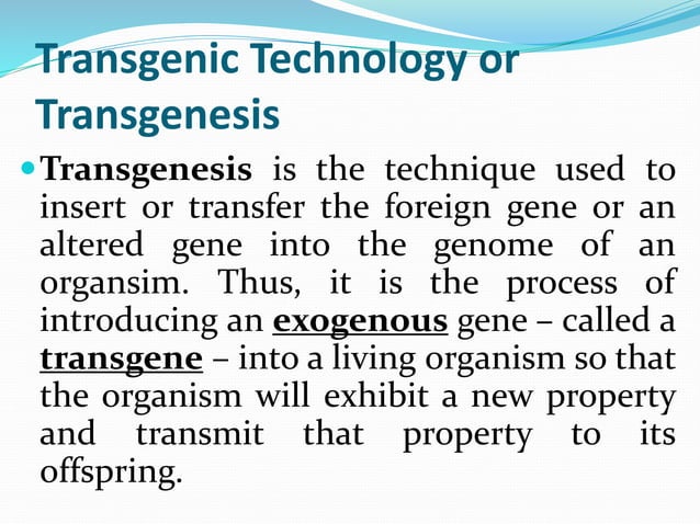 transgenic technology.pptx