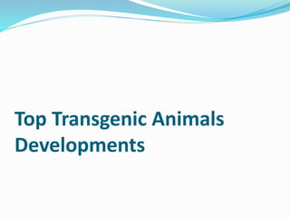 transgenic technology.pptx