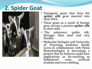 transgenic technology.pptx