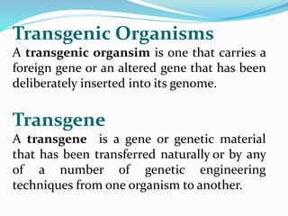 transgenic technology.pptx