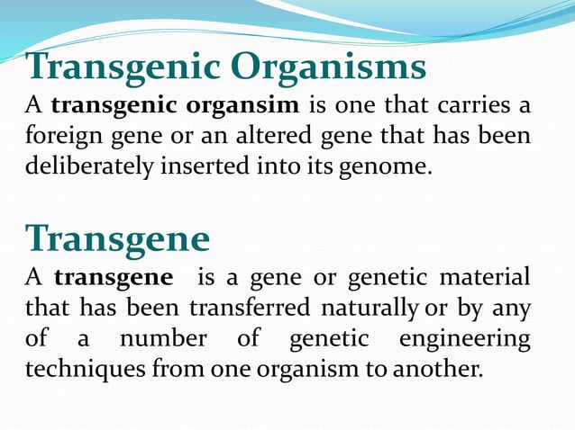 transgenic technology.pptx