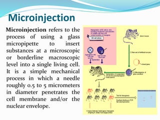 transgenic technology.pptx