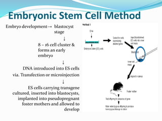 transgenic technology.pptx