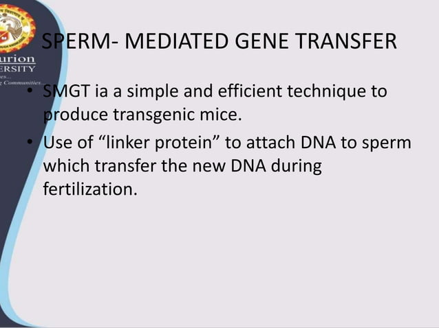 TRANSGENIC TECHNOLOGY AND ITS APPLICATION.pptx | Biological Sciences ...