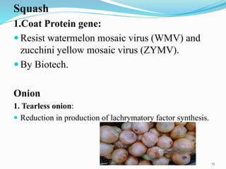 Transgenic vegetable ppt | PPTX