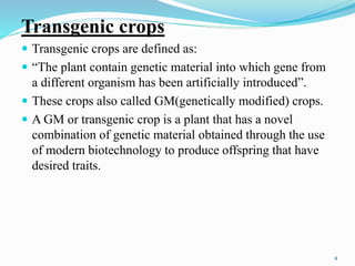 Transgenic vegetable ppt | PPTX